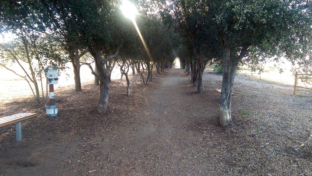 Iron Mountain Trail | Hiking Trails in San Diego - Getgo Outdoors